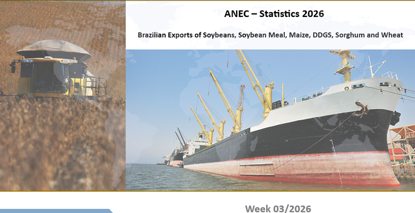 ANEC - 03.2026 Accumulated Exports